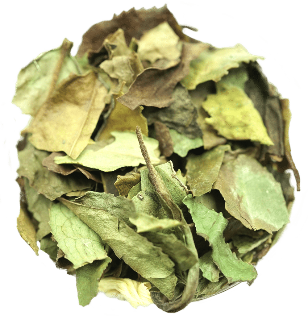 White Tea Mango (Victoria Blend) – The English Tearoom